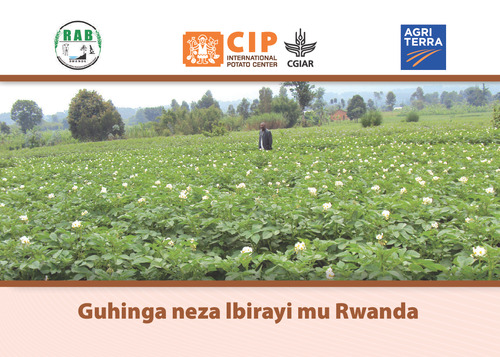 Guhinga neza lbirayi mu Rwanda. Producer handout - International Potato ...
