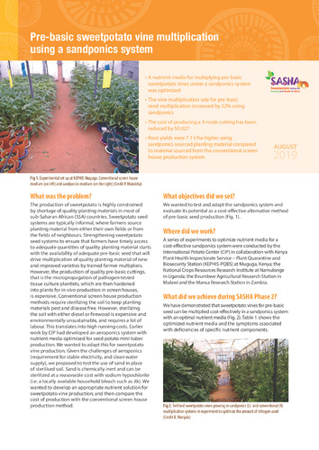 Pre-basic sweetpotato vine multiplication using a sandponics system ...