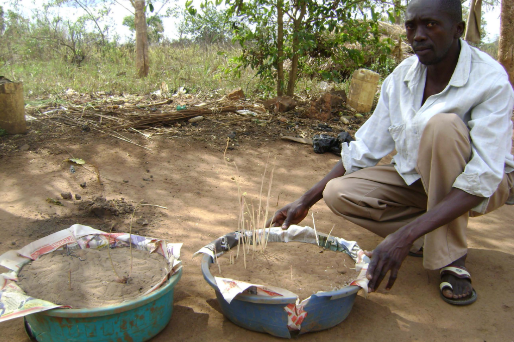 Growing nutrient-rich crops in Uganda: A recipe for success in Karamoja ...