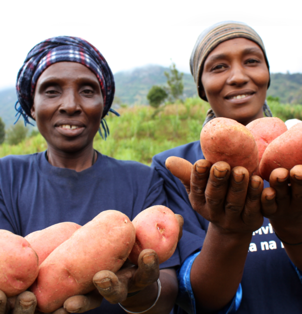 International Day of Potato 2024 – International Potato Center