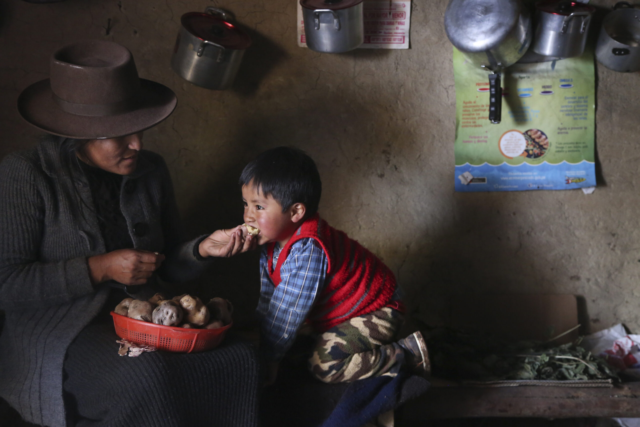 Desarrollan papas contra la anemia con 50% más de hierro ...