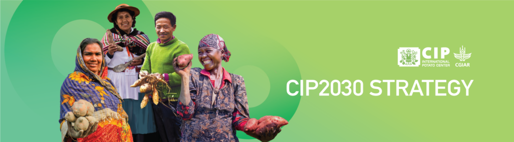 CIP 2030 Strategy – International Potato Center