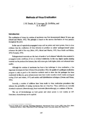 Methods of virus eradication – International Potato Center