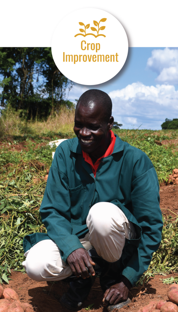 Science Goals – International Potato Center