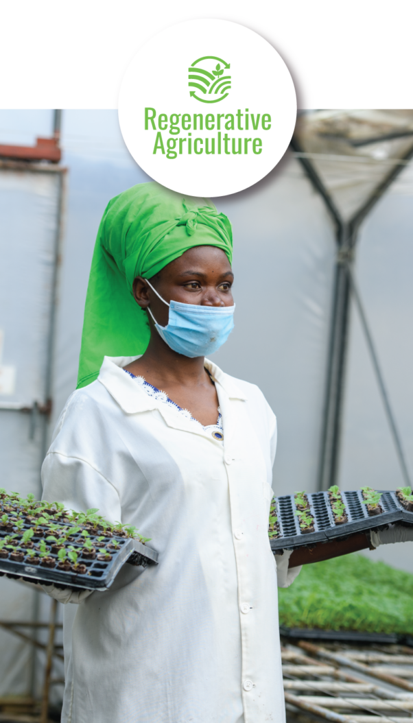 Science Goals – International Potato Center