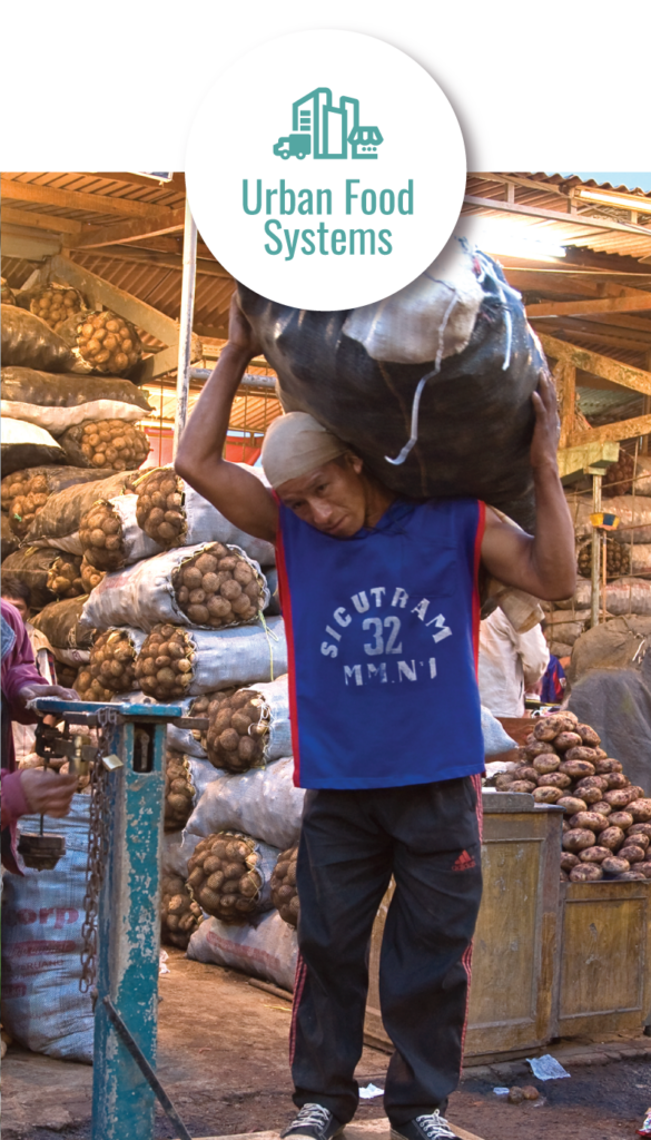 Science Goals – International Potato Center