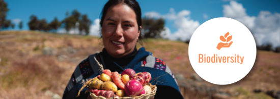 Science Goals – International Potato Center