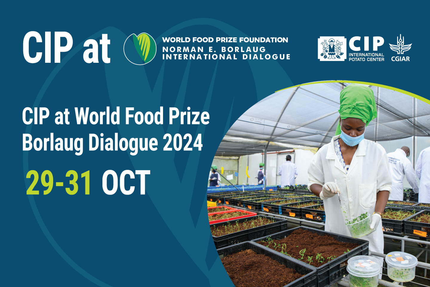 Training and Education – International Potato Center