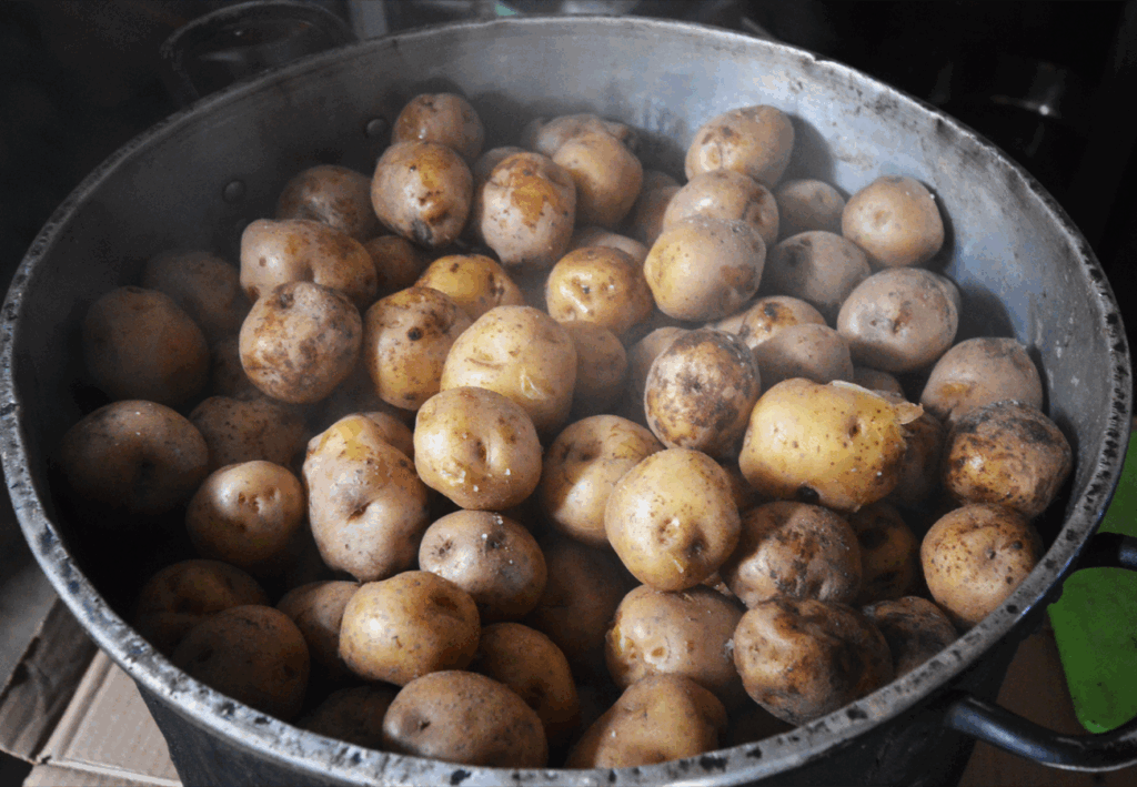 Fighting Hidden Hunger with Biofortified Potatoes - International ...